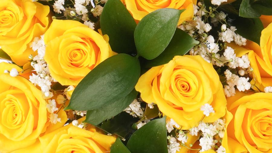 Yellow Roses & Gypsophila – Passion Roses