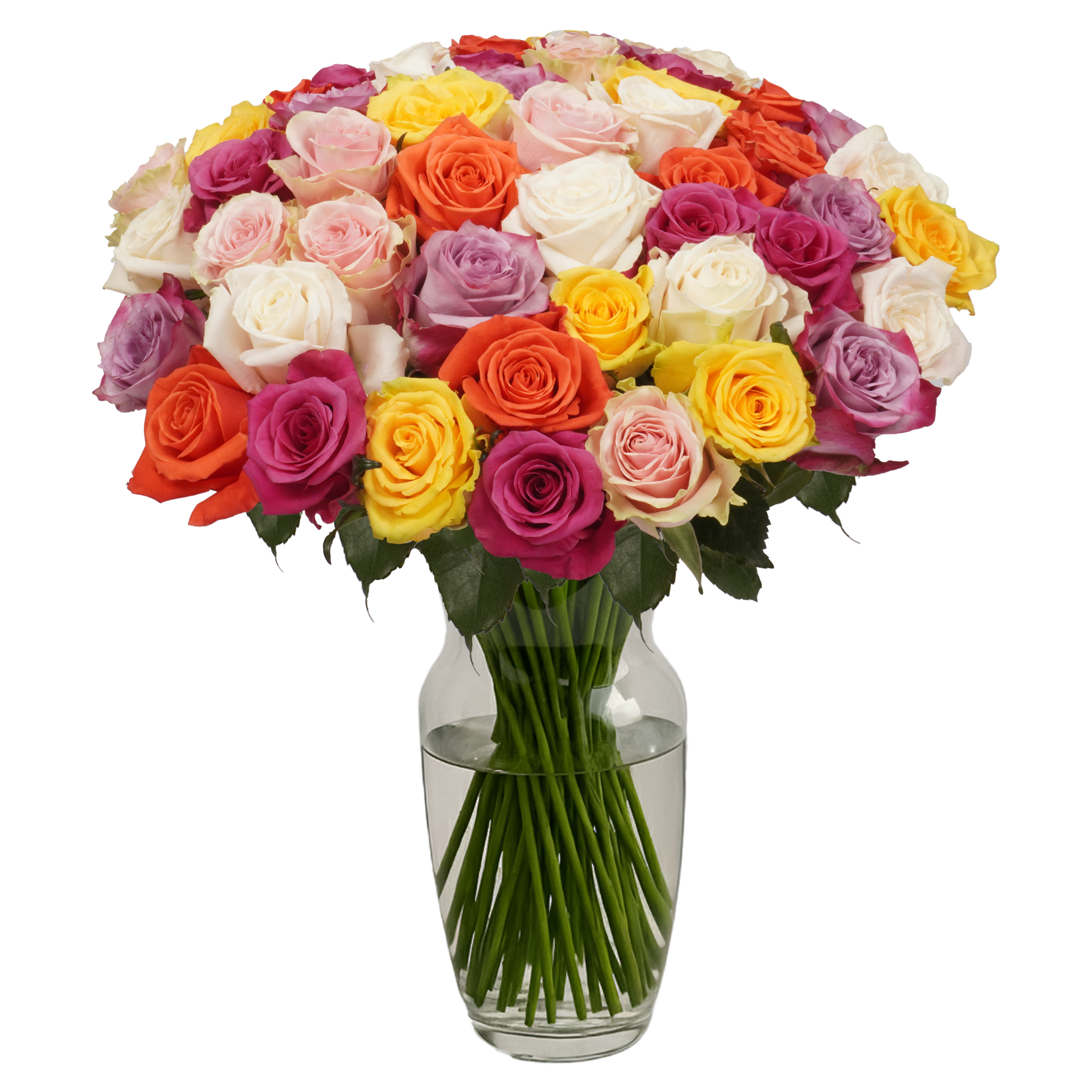 Joy – Passion Roses