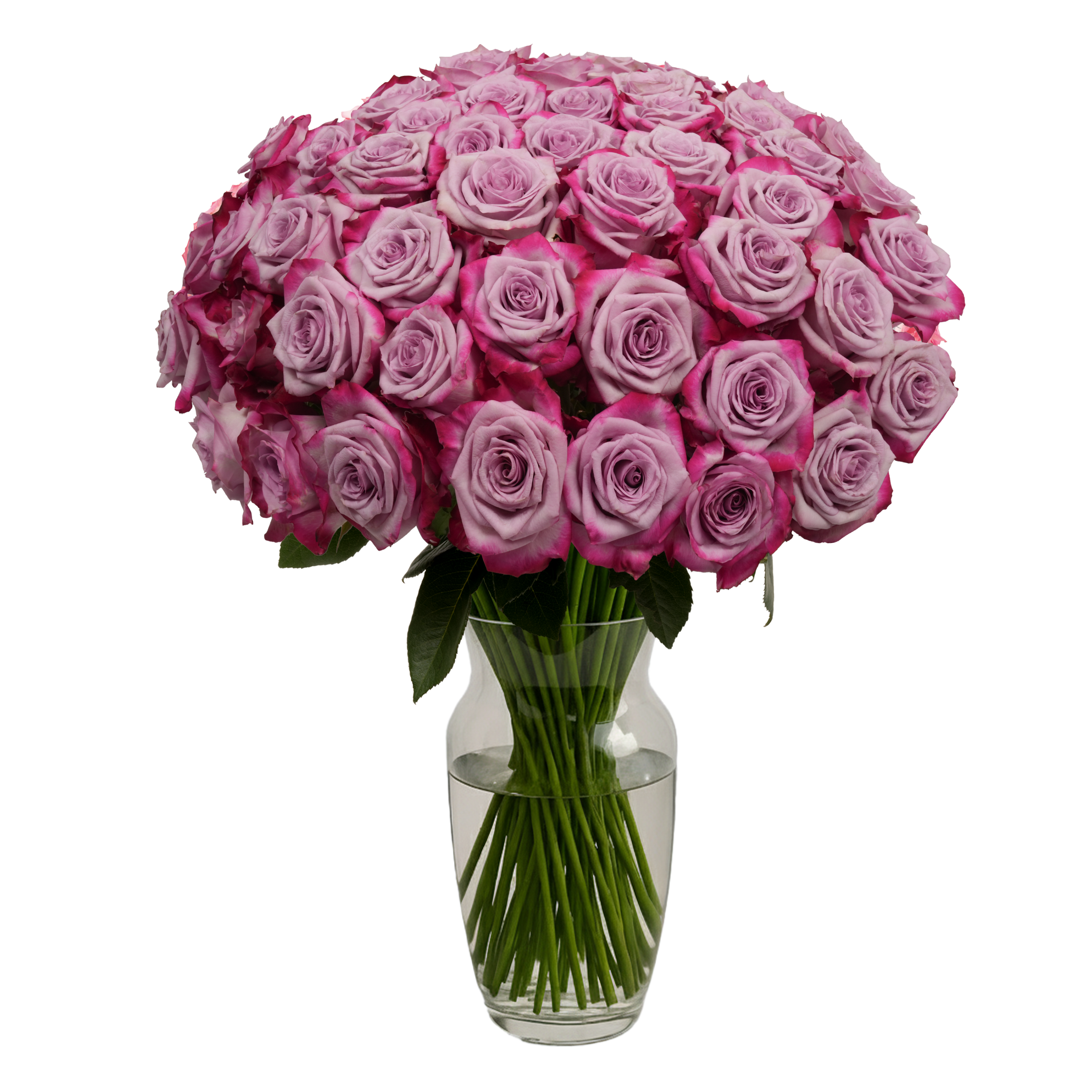 Lavender Roses - 50 Stems – Passion Roses