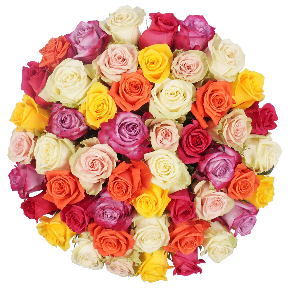 Cartagena – Passion Roses