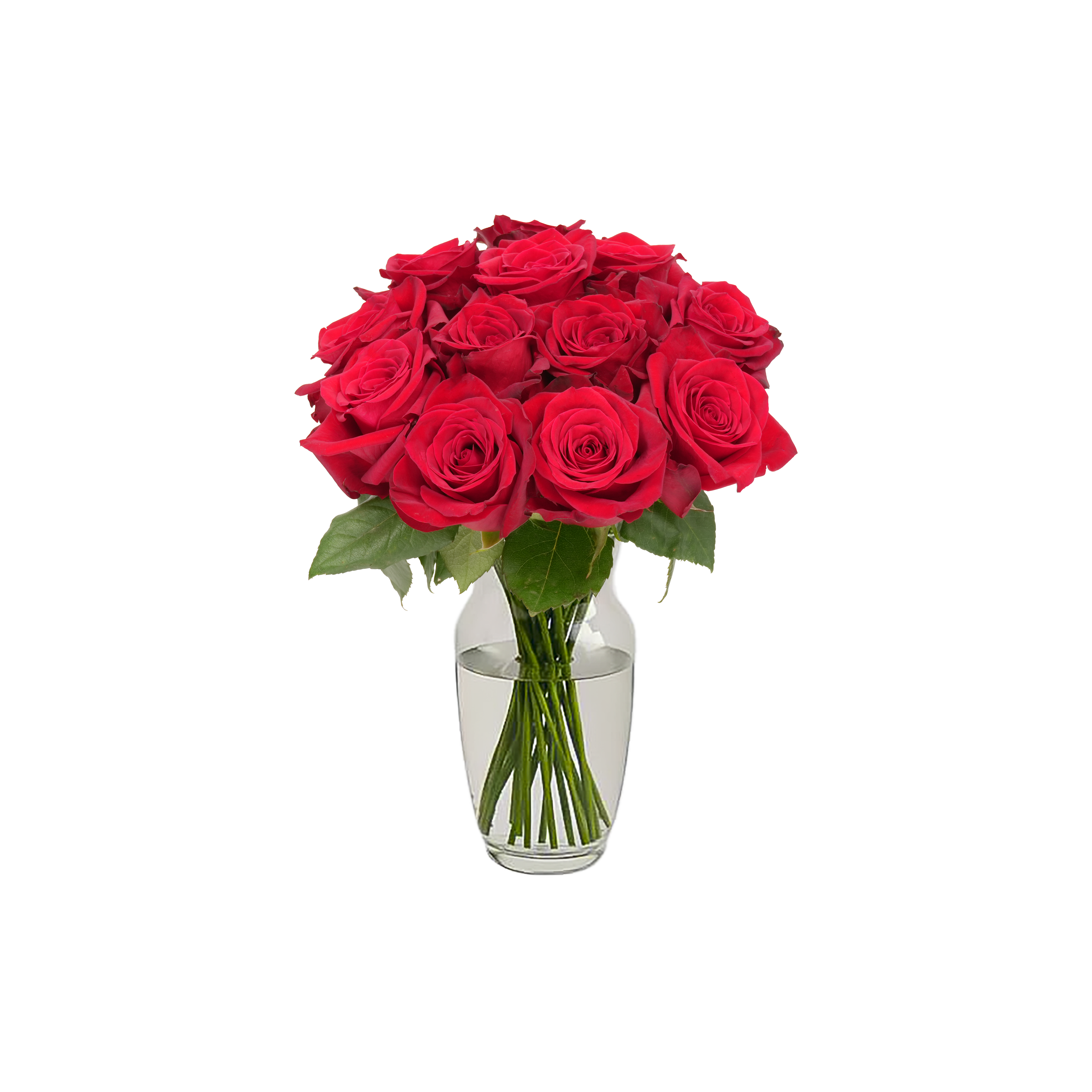 Red Roses - 12 Stems – Passion Roses