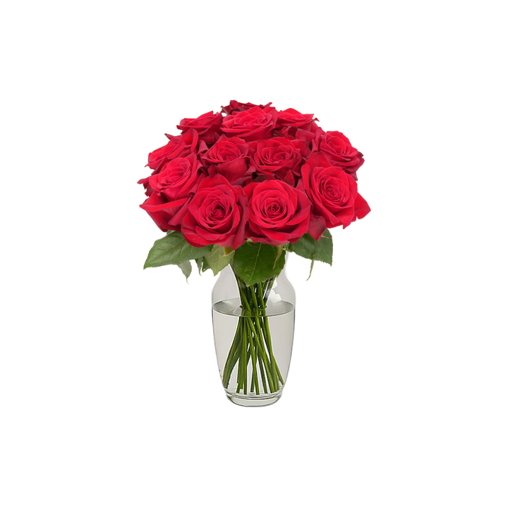 Red Classic Roses – Passion Roses