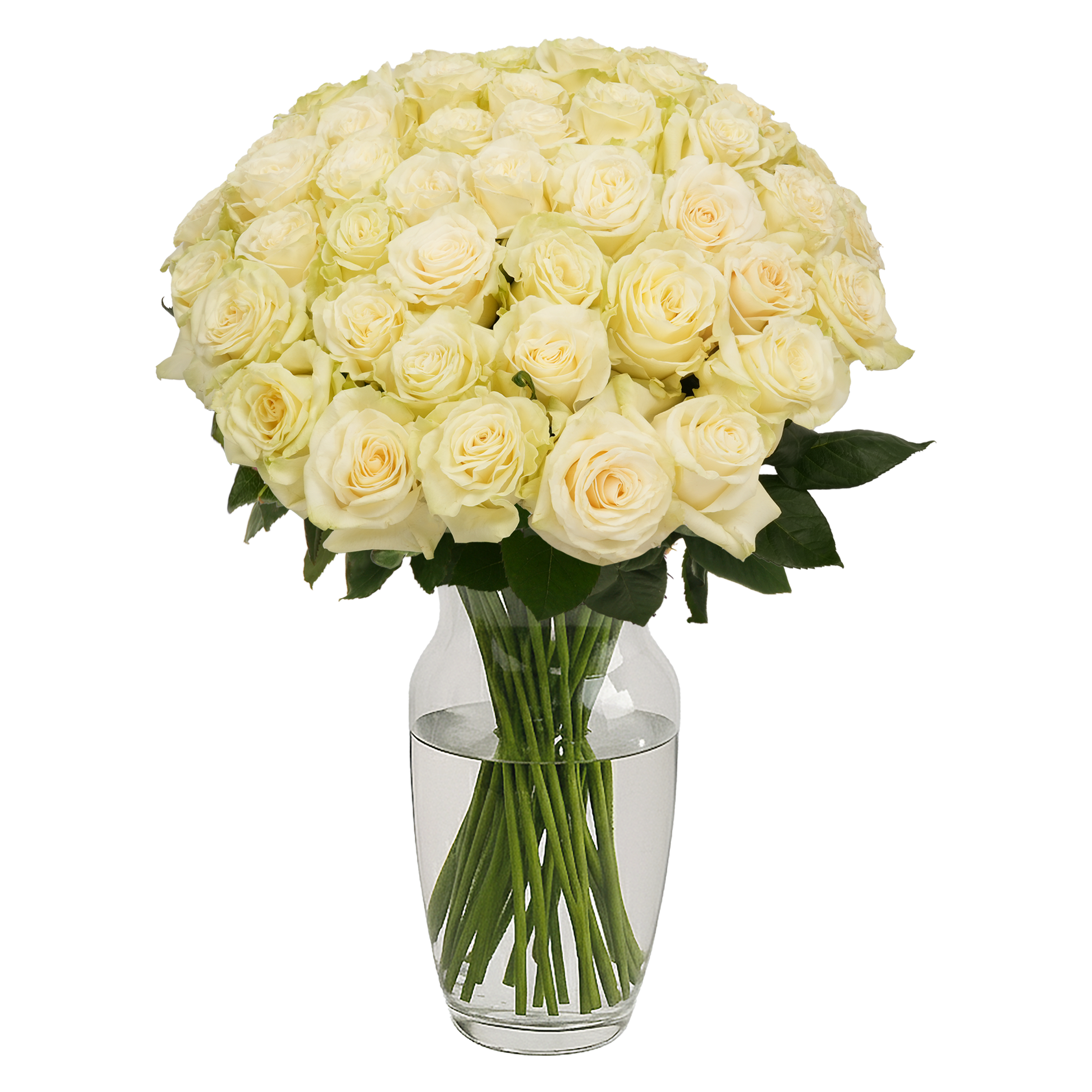 White Roses - 50 Stems – Passion Roses